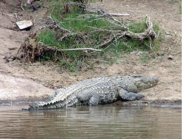 Lake Turkana Kenya | Jade Sea Northern Wilderness Safari